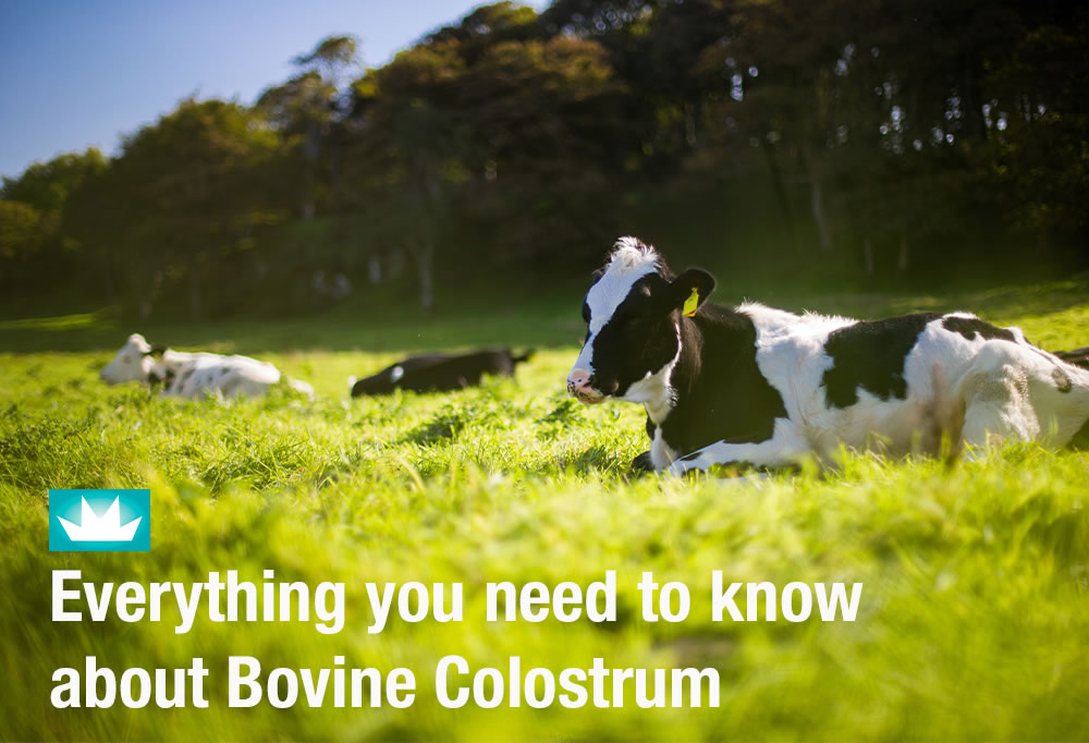 Everything you need to know about Bovine Colostrum - Sovereign Laboratories