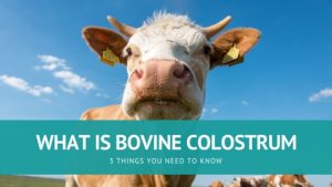 What Is Bovine Colostrum? 4 Things You Need to Know - Sovereign ...