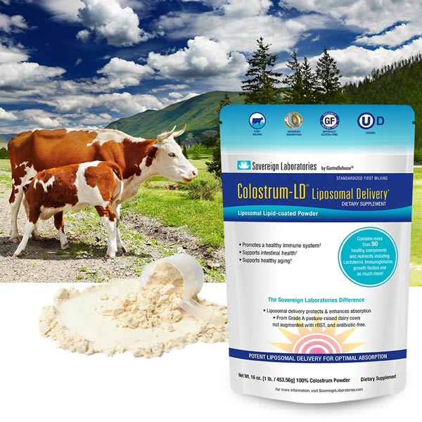4-Pack Colostrum LD® Powder: 16 oz | Sovereign Laboratories